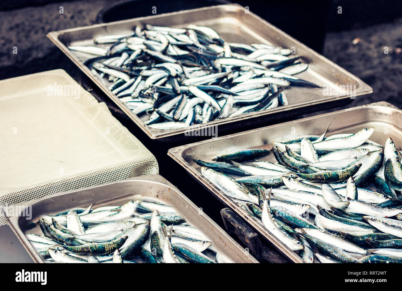 Fresh fish and seafood for sale in the fish market of Catania, Sicily ...