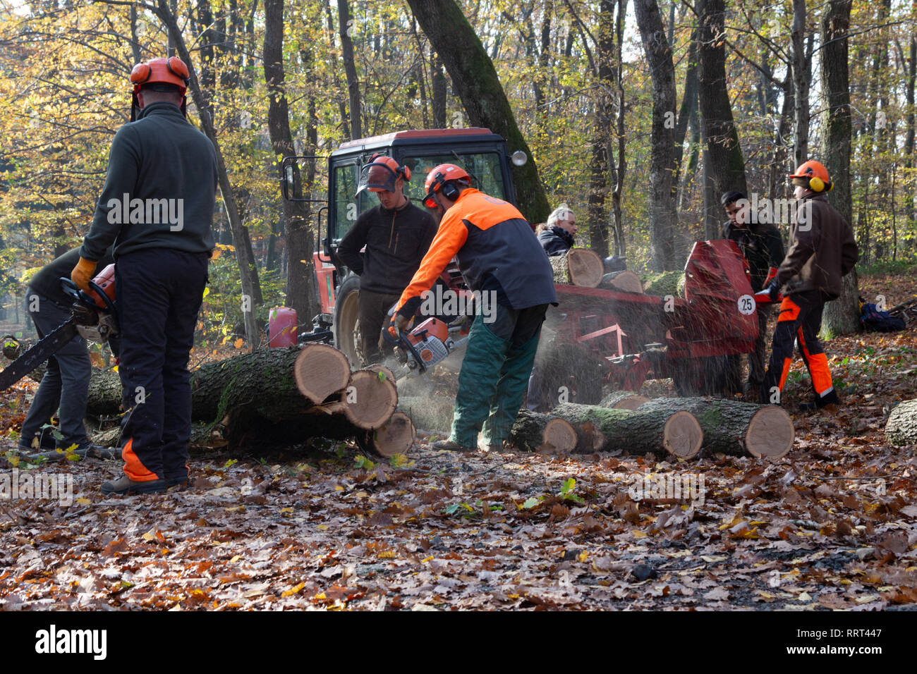 Cutting practice hi-res stock photography and images - Alamy
