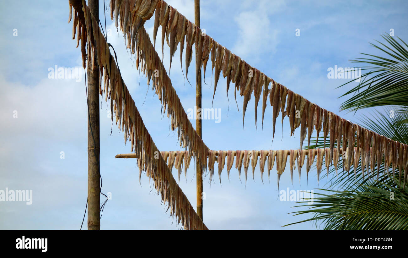 Dawei myanmar hi-res stock photography and images - Alamy