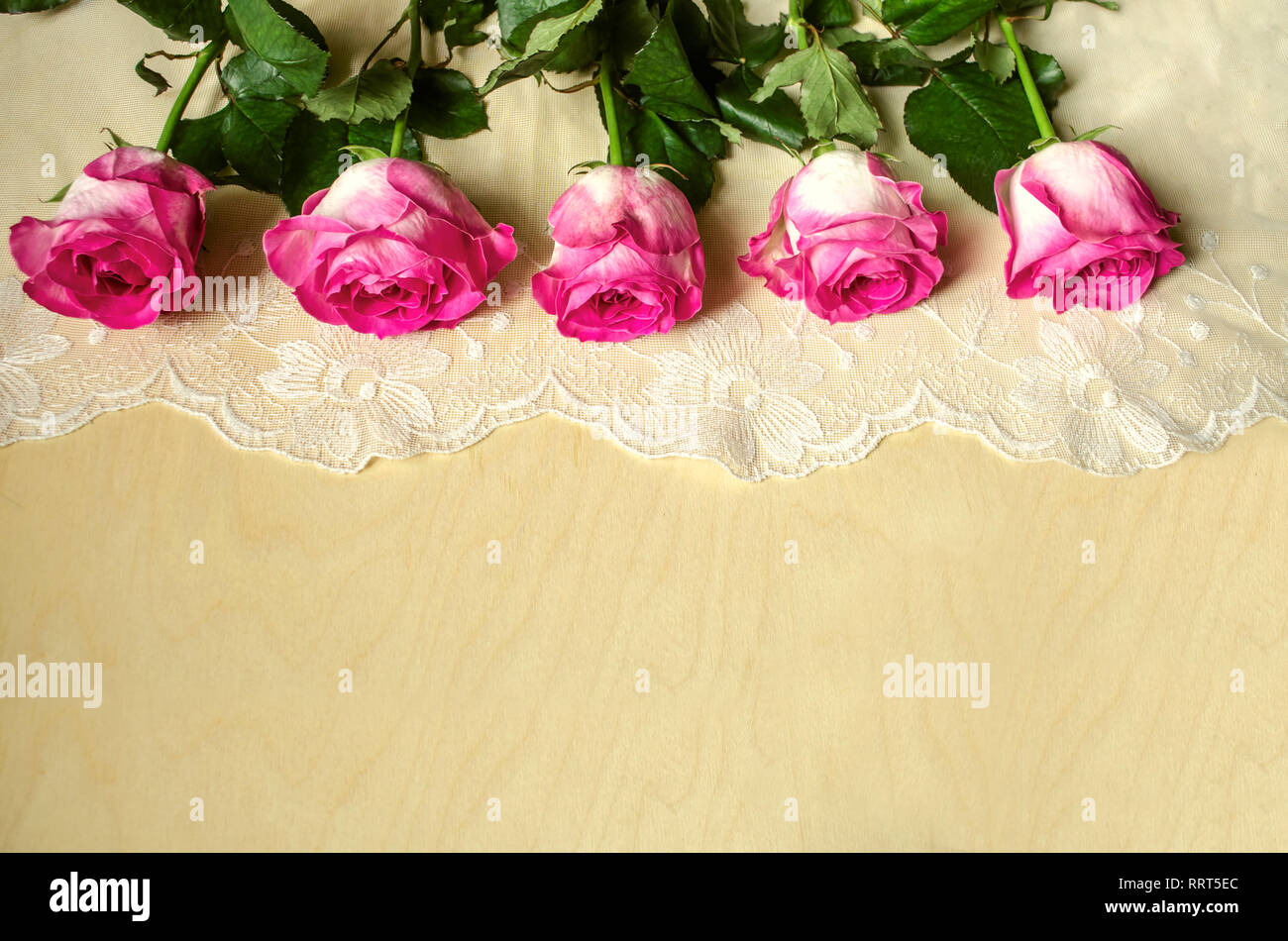Border of large gorgeous roses with petals painted white with pink on ...