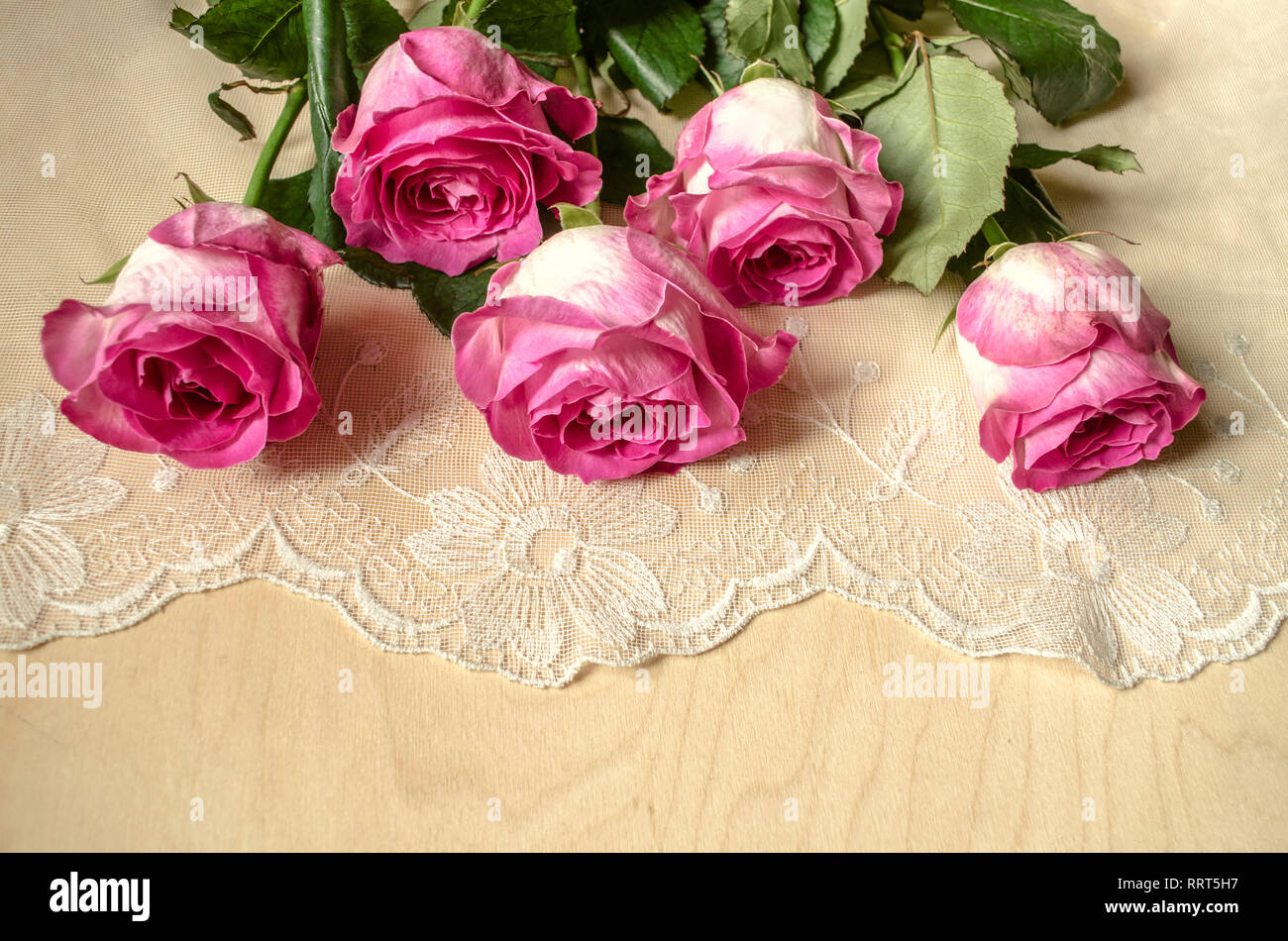 A bouquet of large magnificent roses with petals, painted white with ...