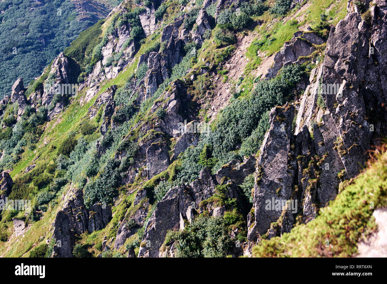 Carpathian mountains with grassy slopes and rocks Stock Photo - Alamy