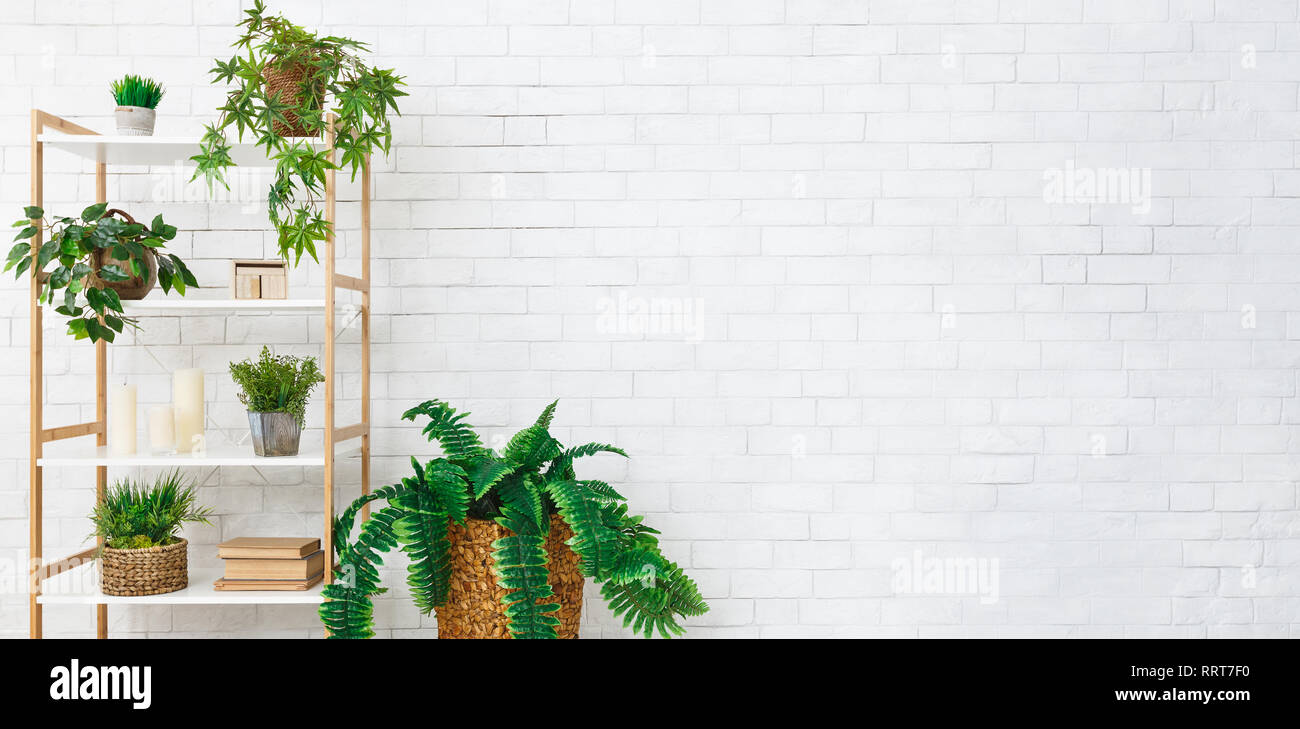 Bookshelf with various plants over white wall Stock Photo - Alamy