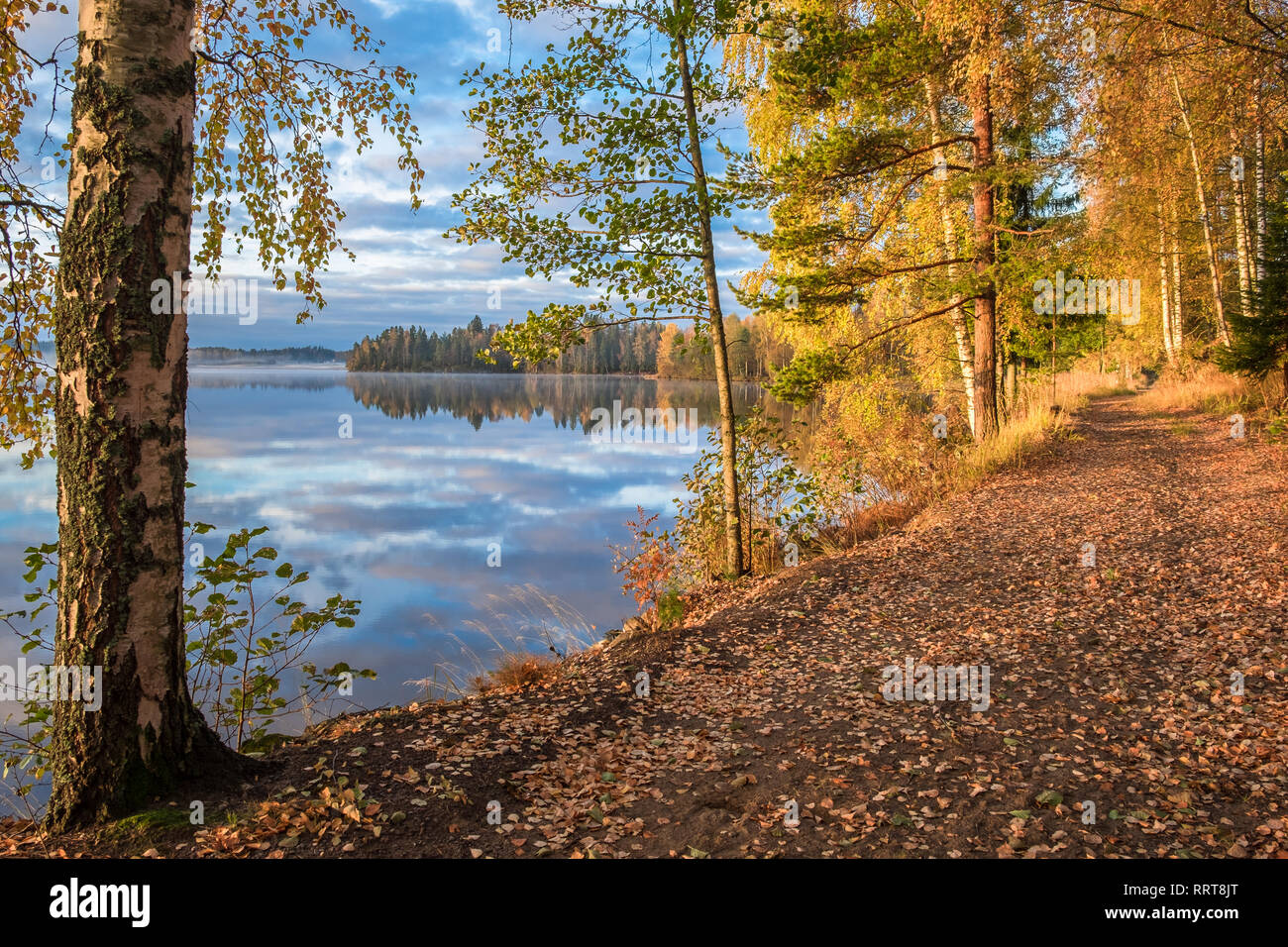 Scenic view of autumn landscape, fall colors trees, blue water, tree ...