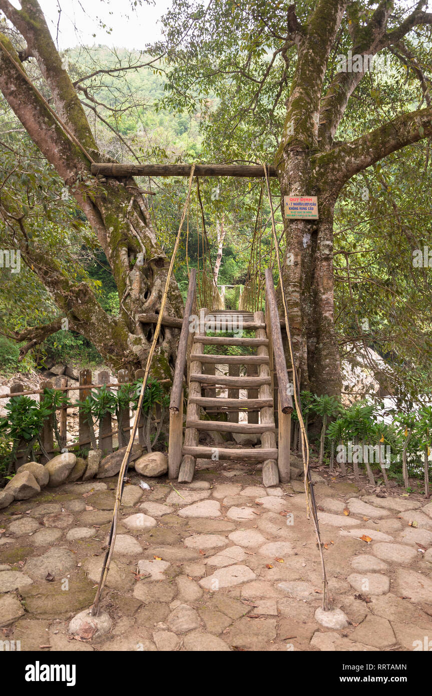 A wooden rope bridge with steps between trees across a river, Sa Pa ...