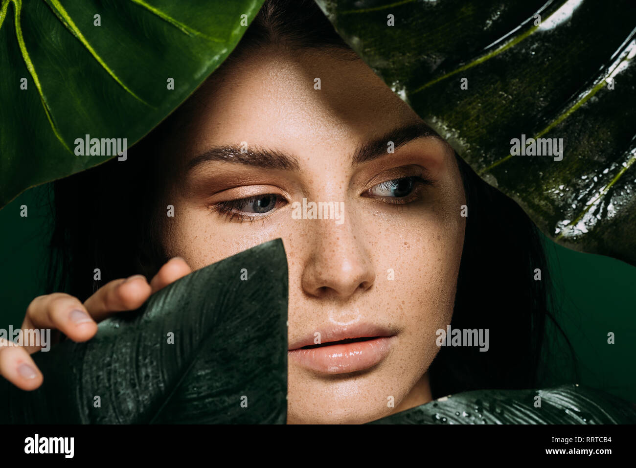 young woman with freckles on face posing with tropical leaves isolated ...