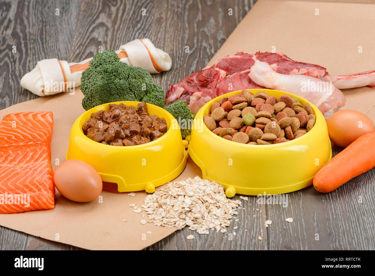 Various dog hi-res stock photography and images - Alamy