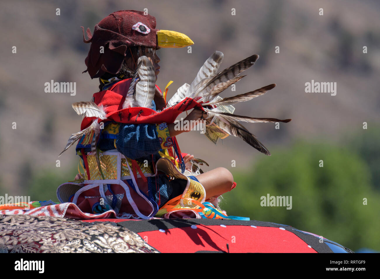 Parade indian float hi-res stock photography and images - Alamy