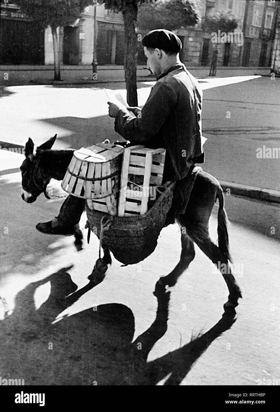 Spanish man and donkey Black and White Stock Photos & Images - Alamy