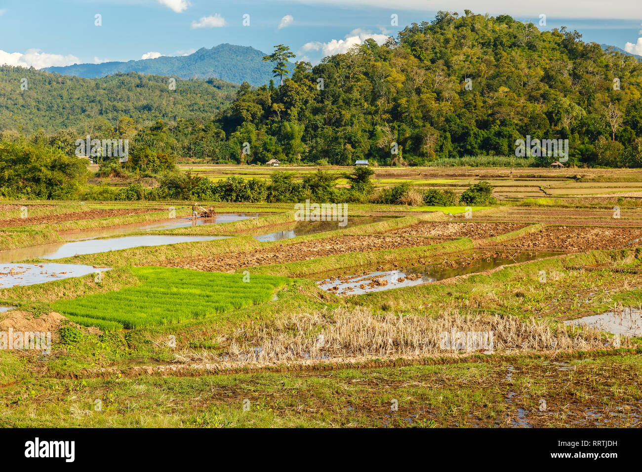 Laos Rice Farming High Resolution Stock Photography and Images - Alamy
