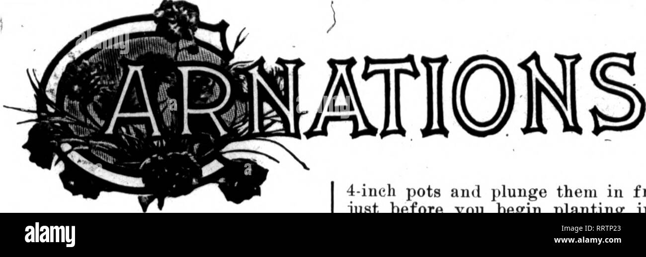 Useless gate hi-res stock photography and images - Alamy