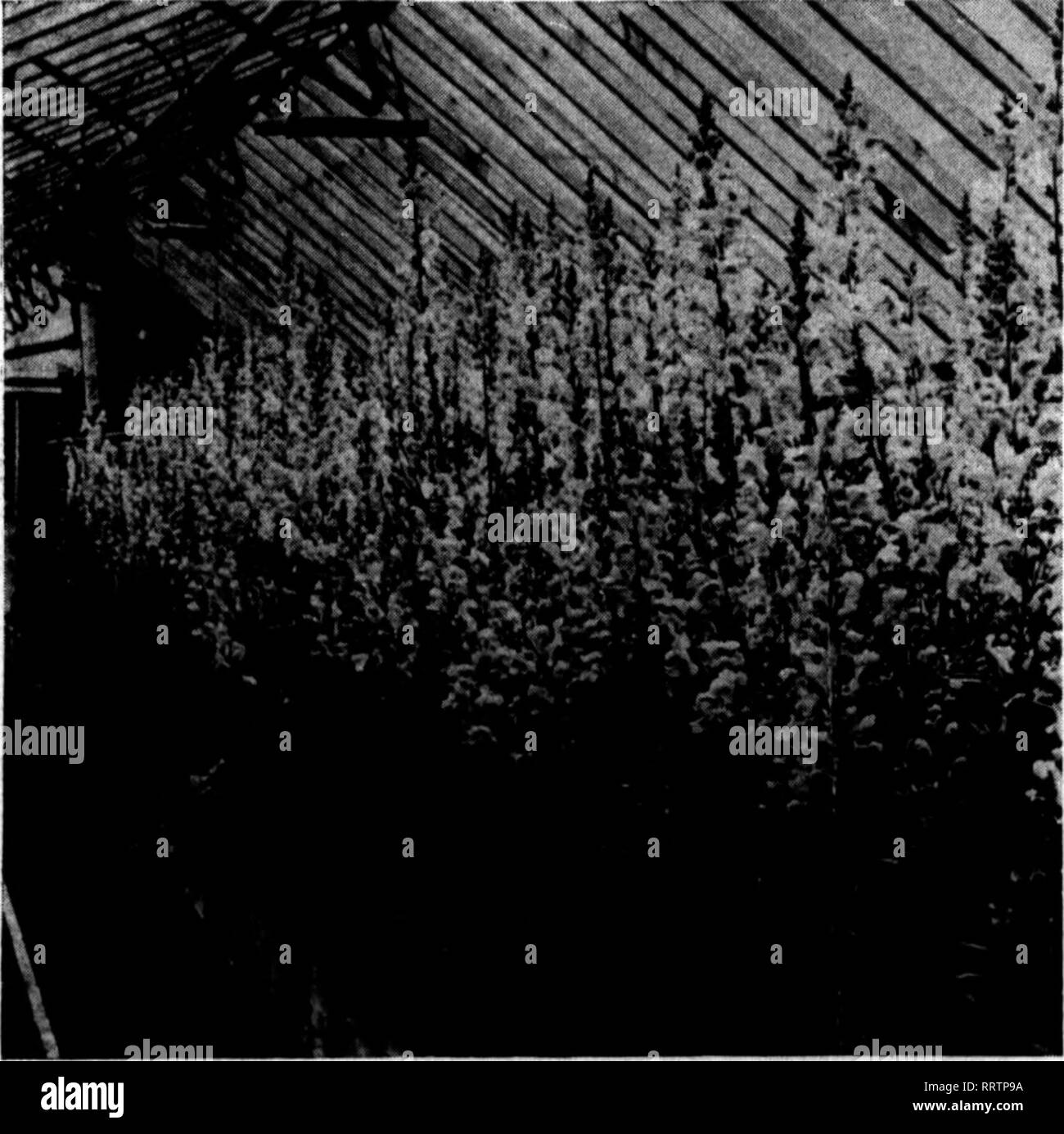 Sowing and reaping hi-res stock photography and images - Alamy