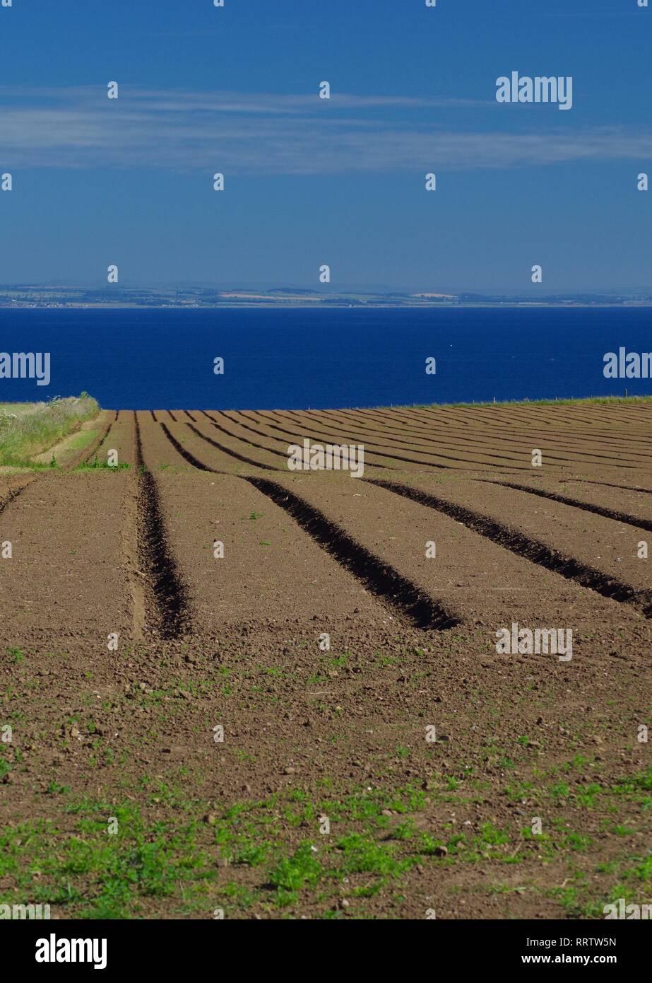 Tilled and Rilled Empty Potato Farm Field, at Boarhills, along the Fife ...