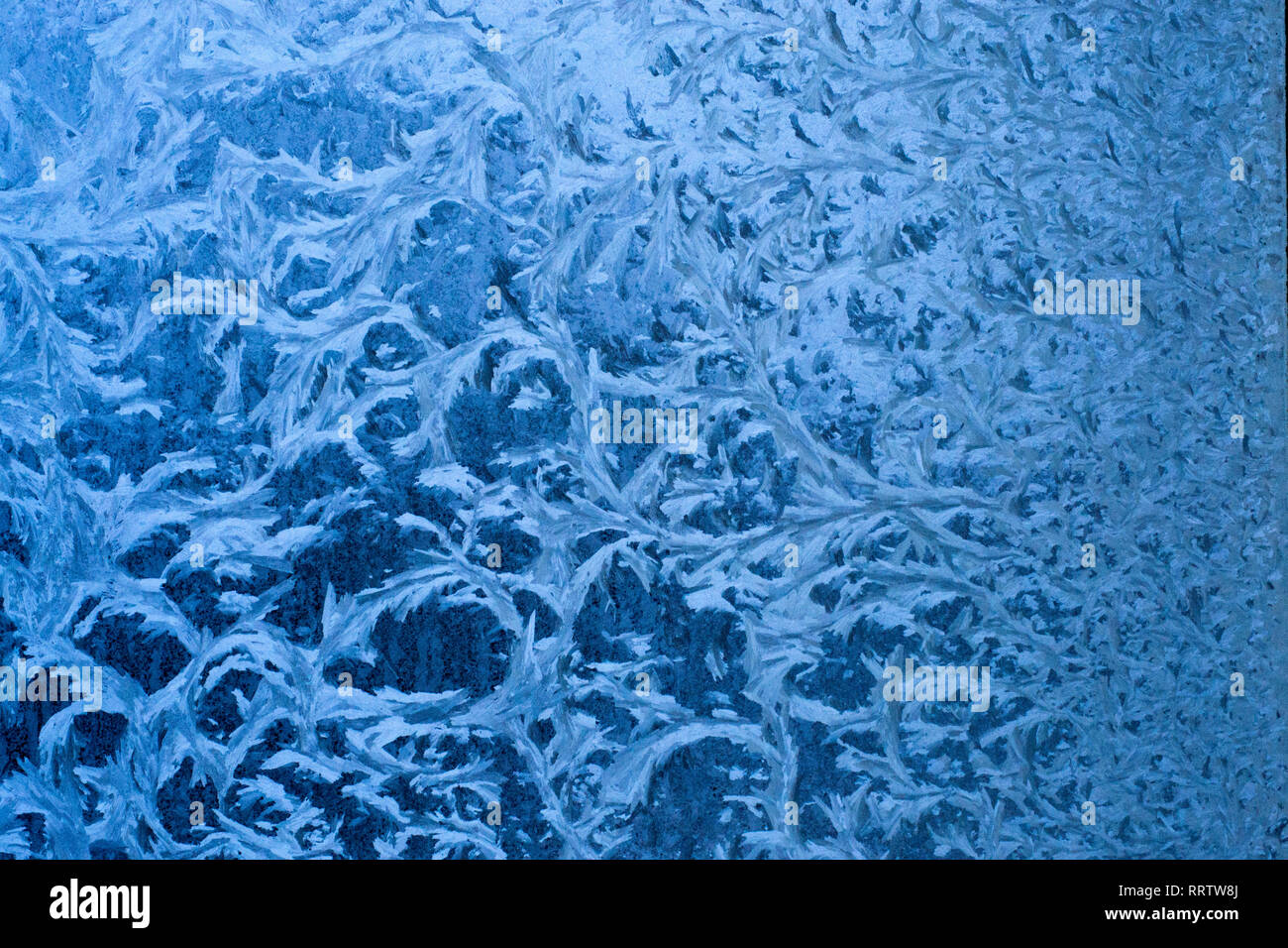 Shaped ice crystals, frozen window in winter Stock Photo - Alamy