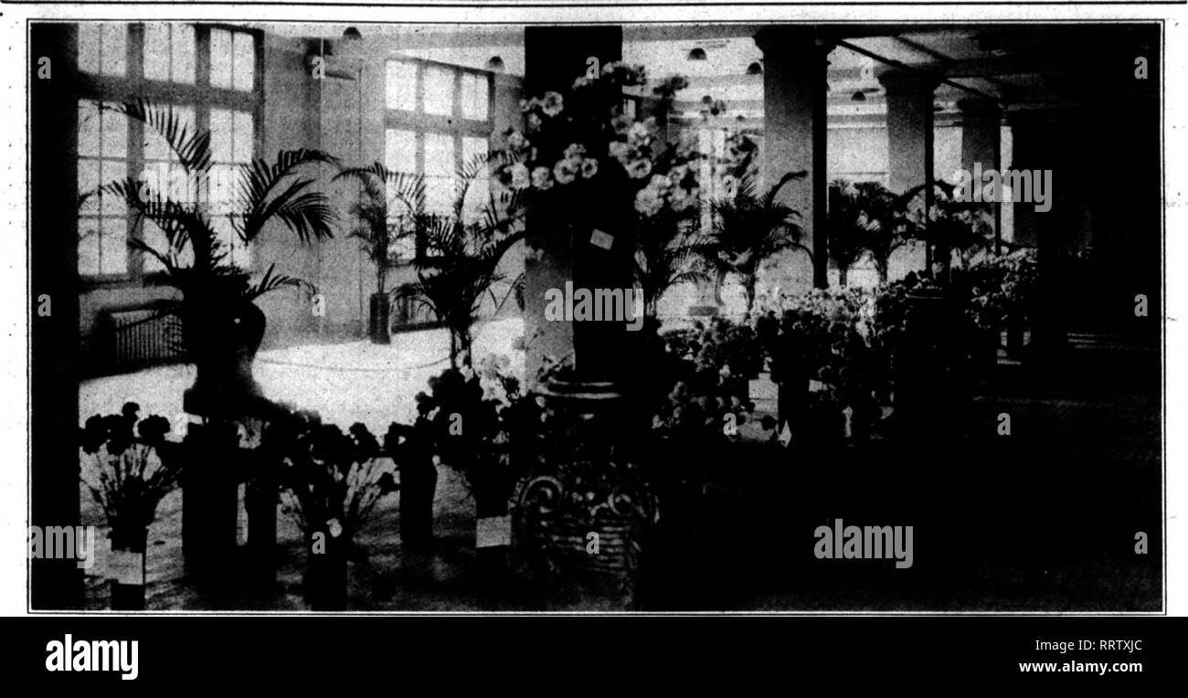 Red week 1914 hi-res stock photography and images - Alamy