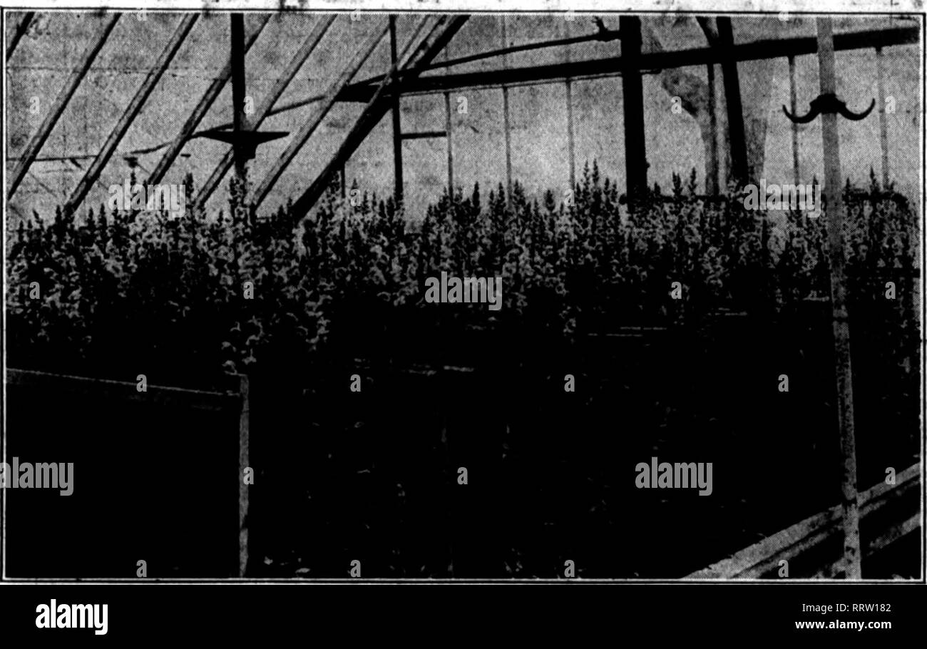 Wholesale lot Black and White Stock Photos & Images - Alamy