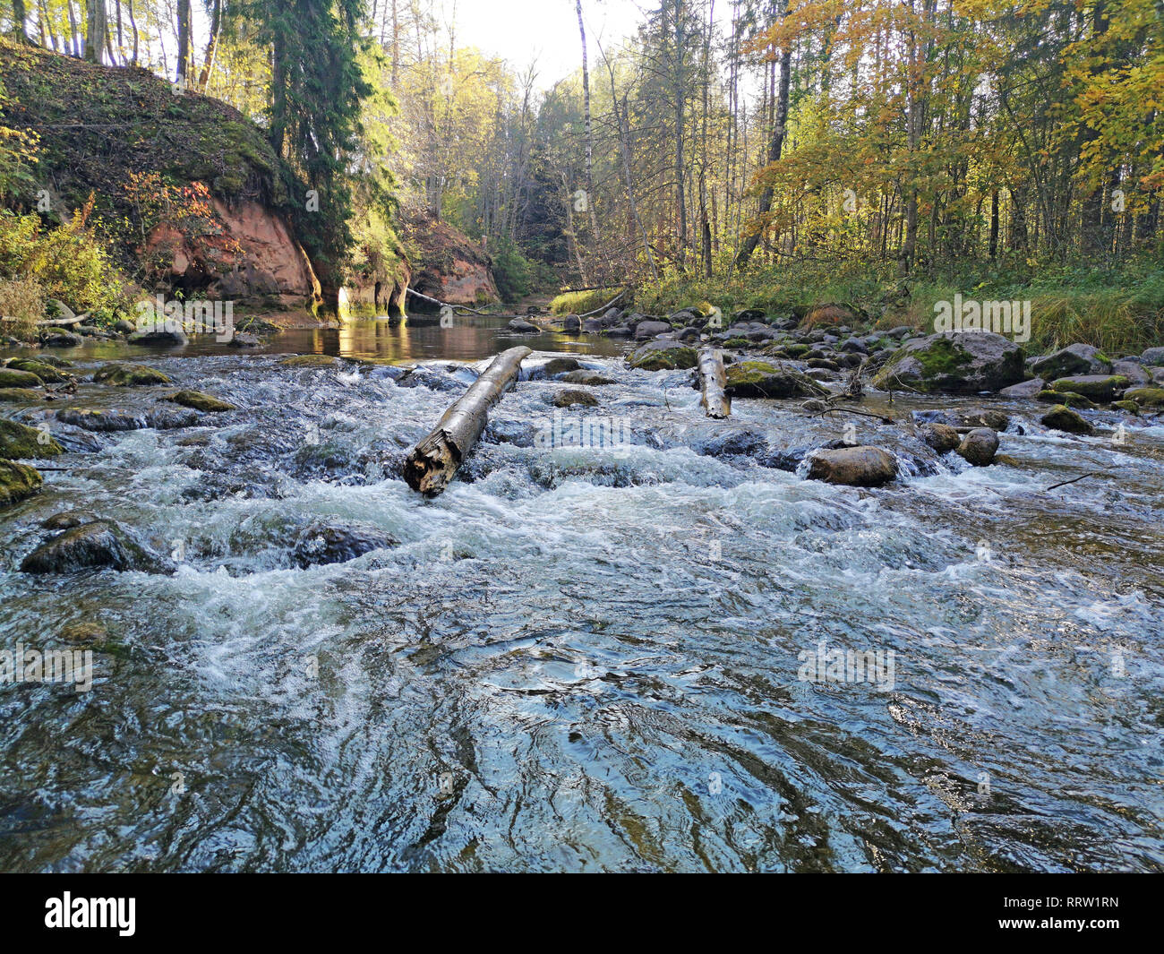Logs floating on a river hi-res stock photography and images - Alamy