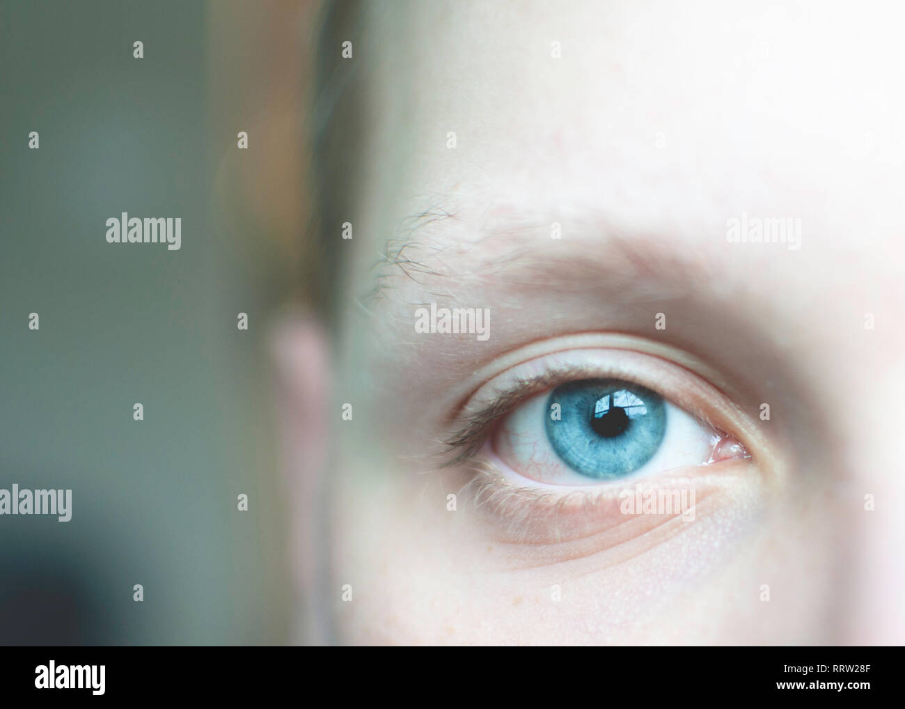 light blue eye Stock Photo - Alamy