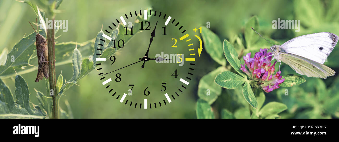 Daylight Saving Time. DST. Wall Clock going to winter time. Turn time ...