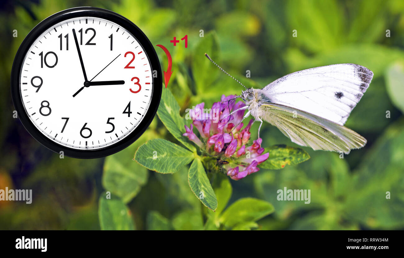 Daylight Saving Time. DST. Wall Clock going to winter time. Turn time ...