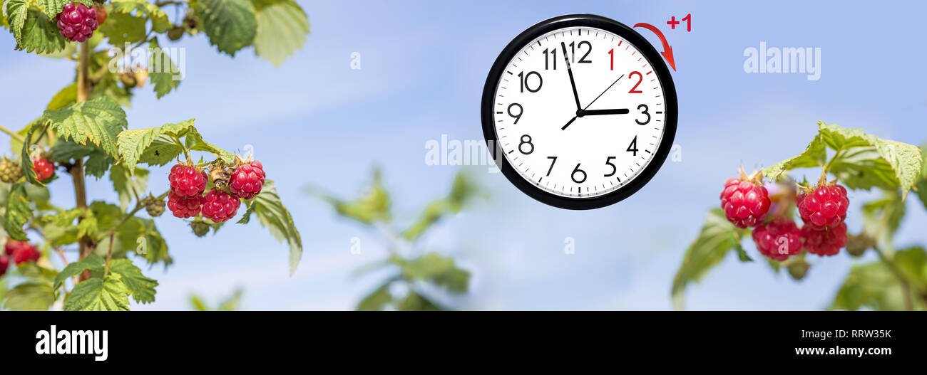Daylight Saving Time. DST. Wall Clock going to winter time. Turn time forward. Abstract photo of ...
