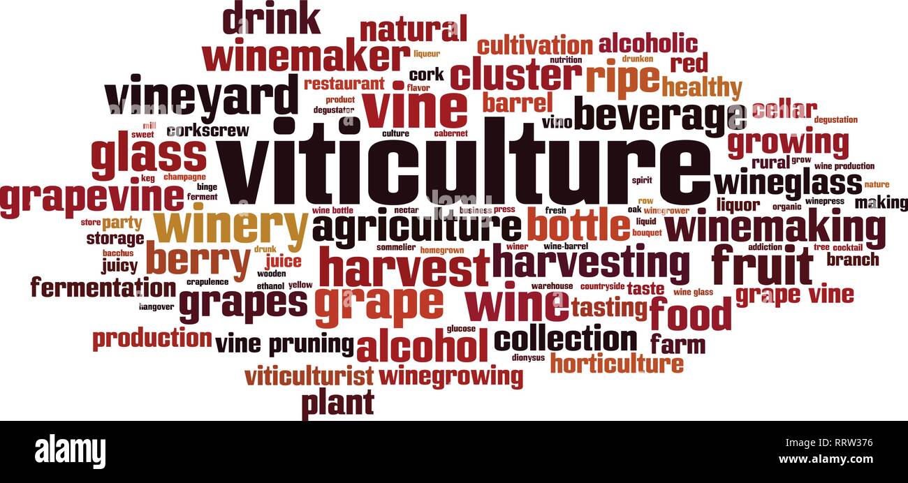 Viticulture word cloud concept. Vector illustration Stock Vector Image ...