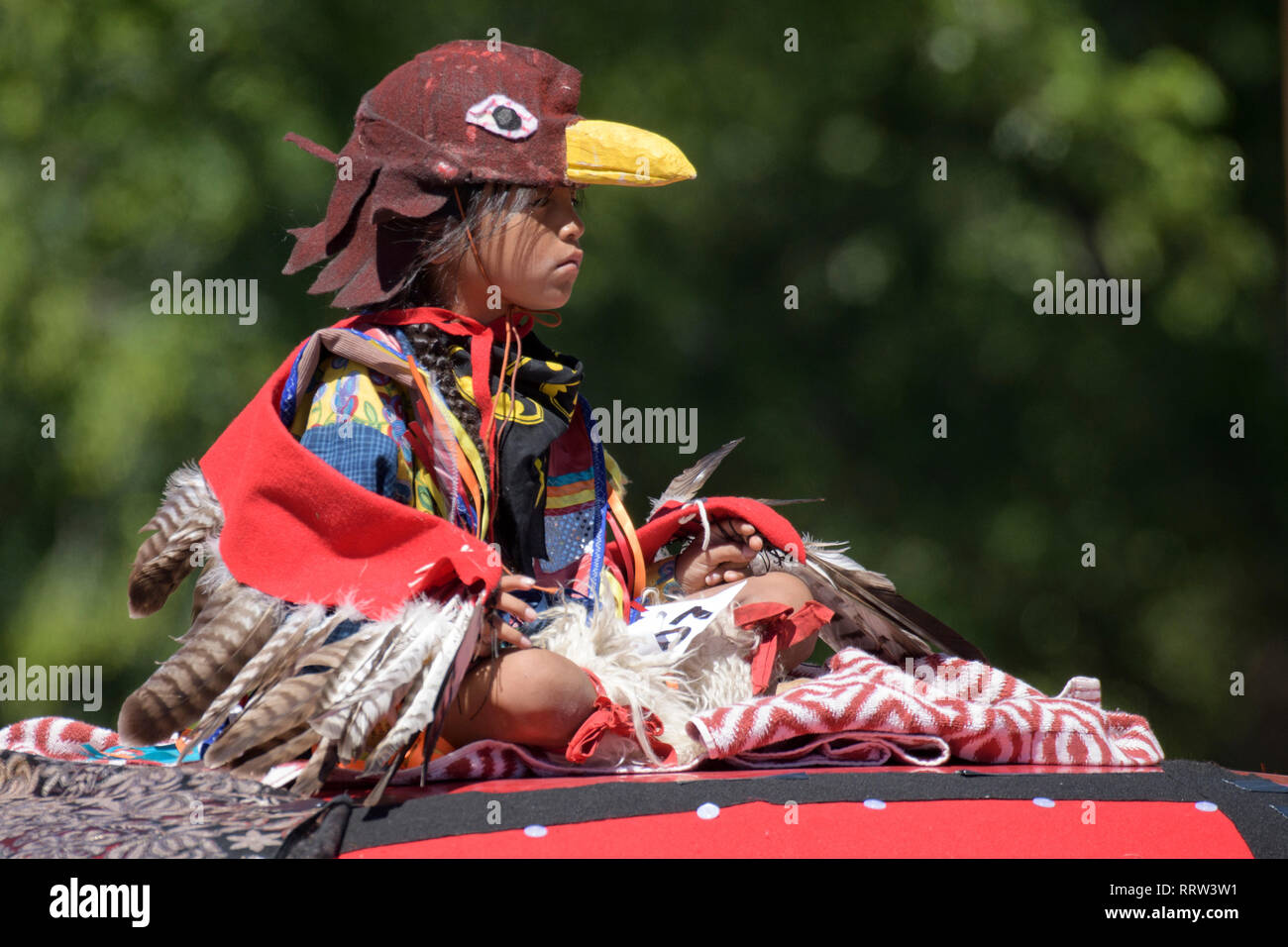 Parade indian float hi-res stock photography and images - Alamy