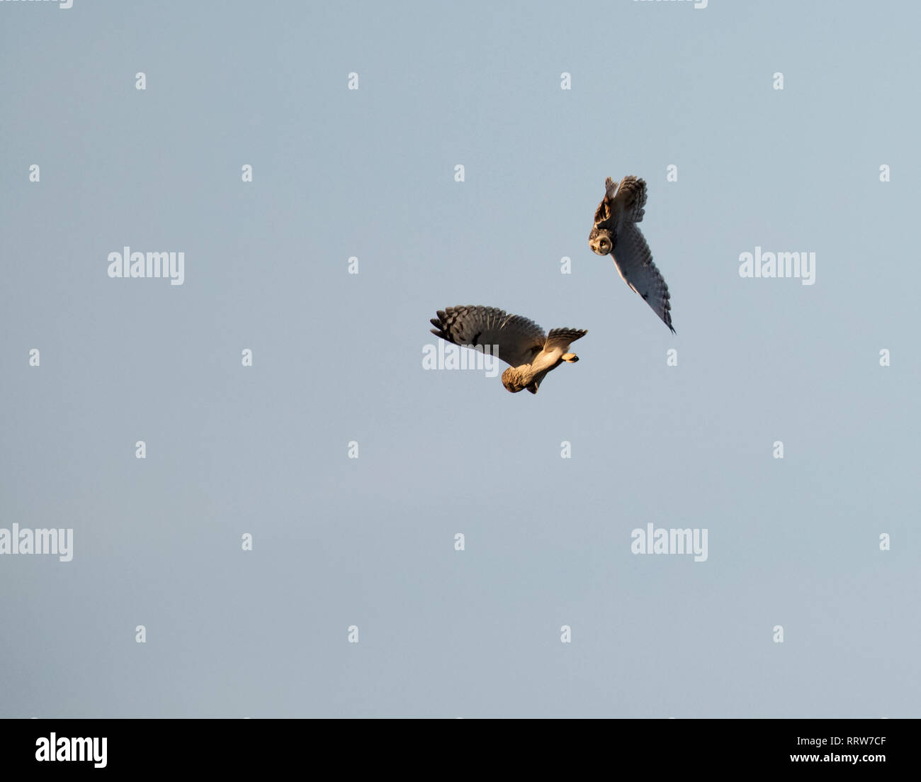 Feuding couple hi-res stock photography and images - Alamy