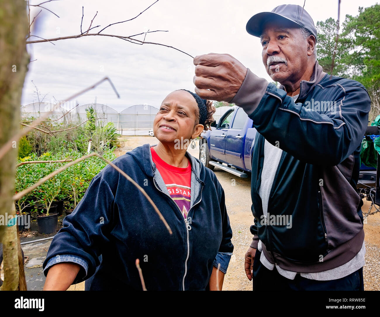 New York Mets Hall of Famer Cleon Jones, right, examines a crape myrtle ...