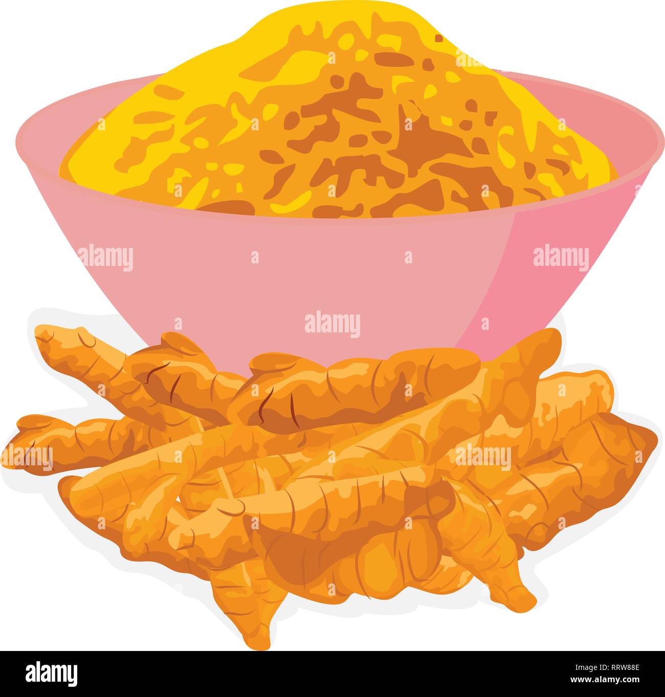 Turmeric roots and powder on a white background vector illustration ...