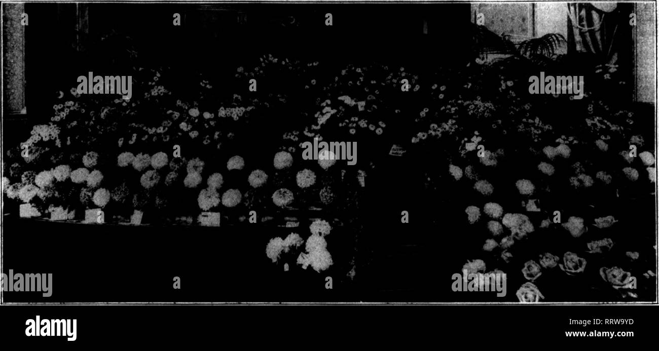 Madison finch Black and White Stock Photos & Images - Alamy