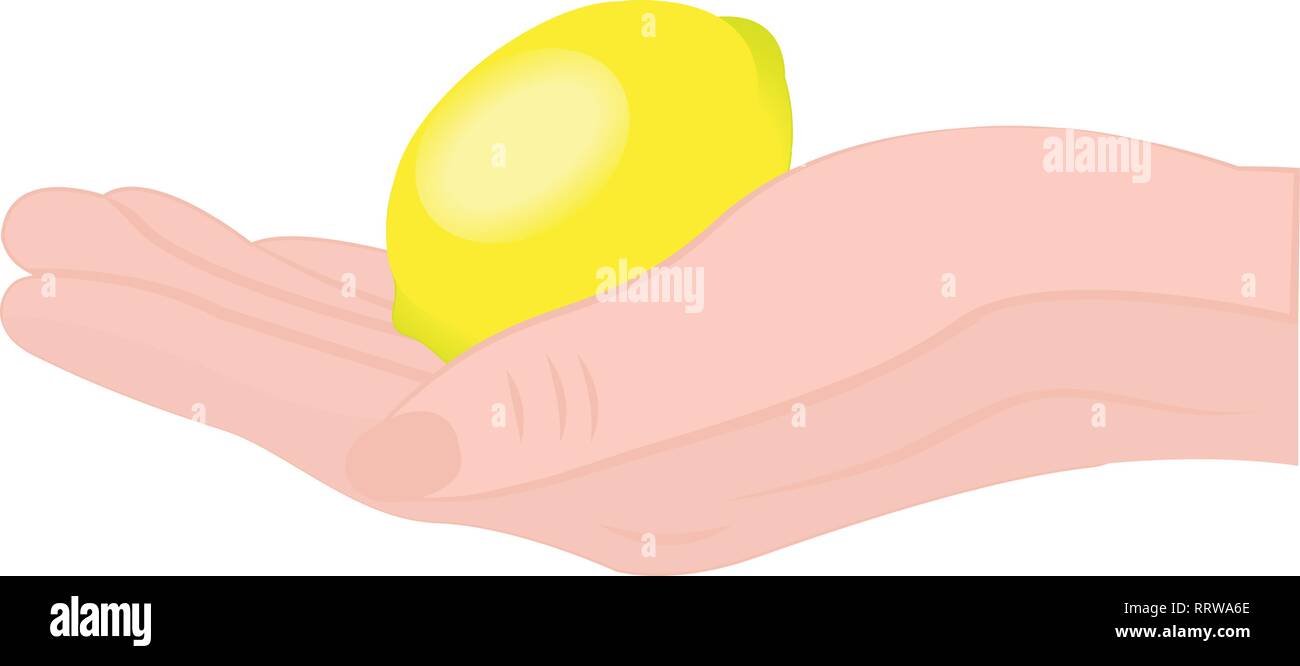 Lemon in a hand isolated on a white background vector illustration ...