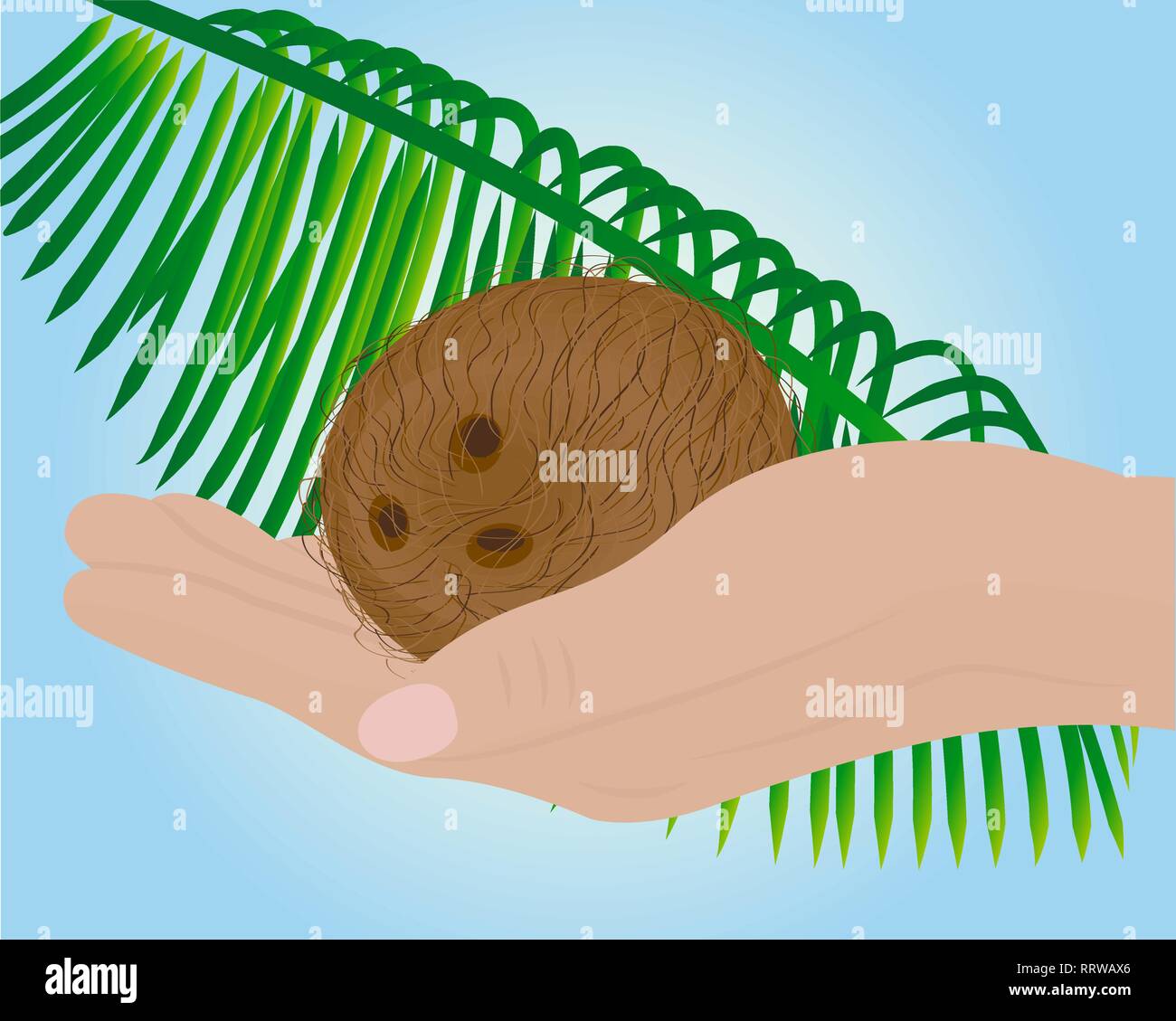 Straw and palm leaf Stock Vector Images - Alamy