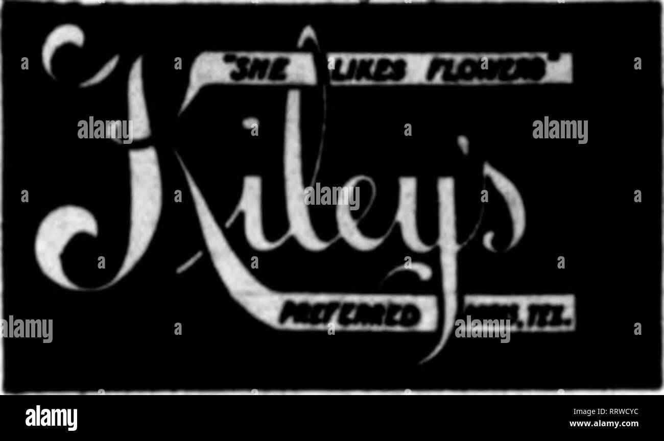 Paul Kember High Resolution Stock Photography and Images - Alamy