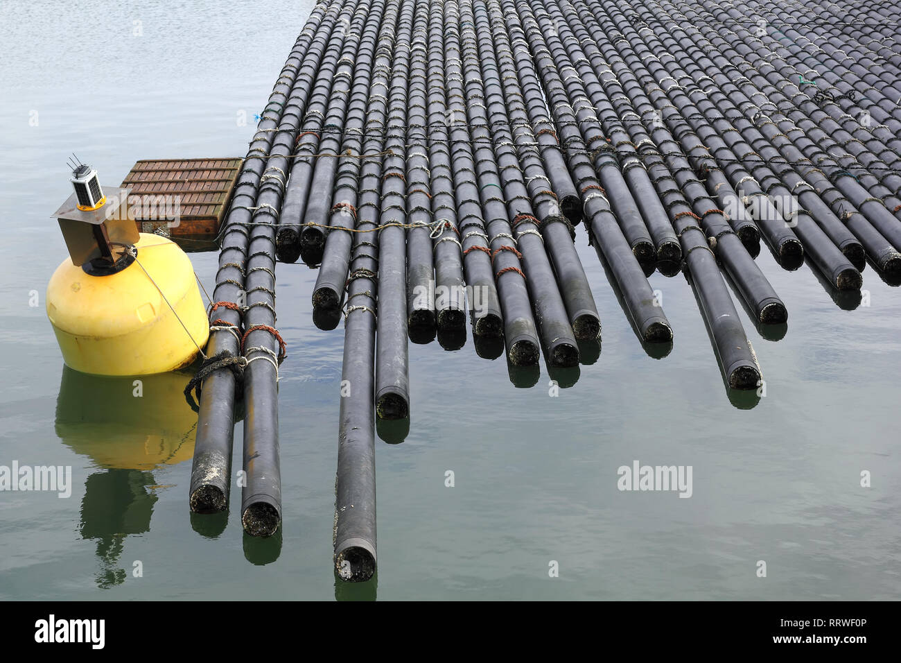 Pipes and buoys of a mussel seed capturing installation Stock Photo - Alamy