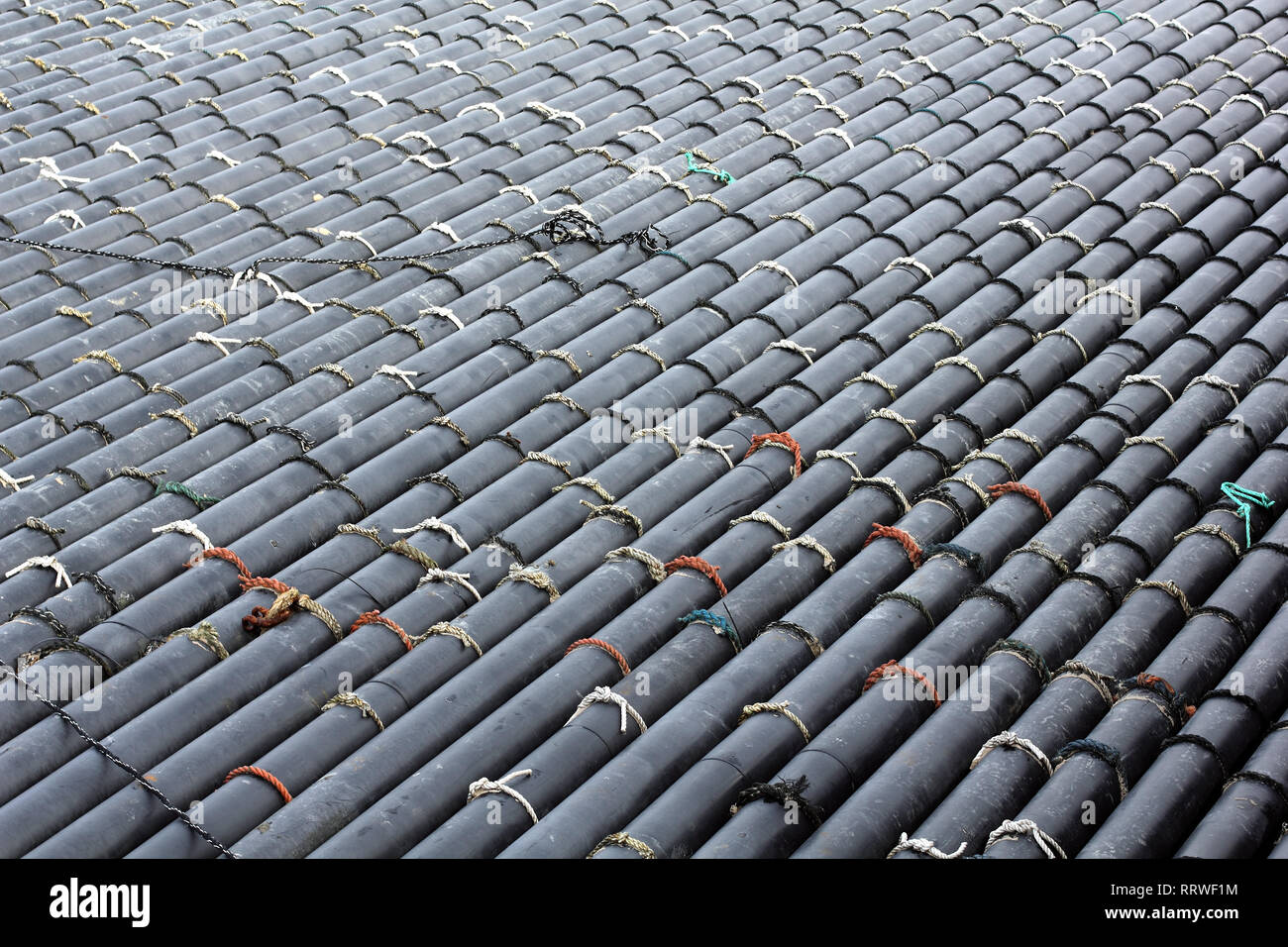 Pipes of a mussel seed capturing installation Stock Photo - Alamy