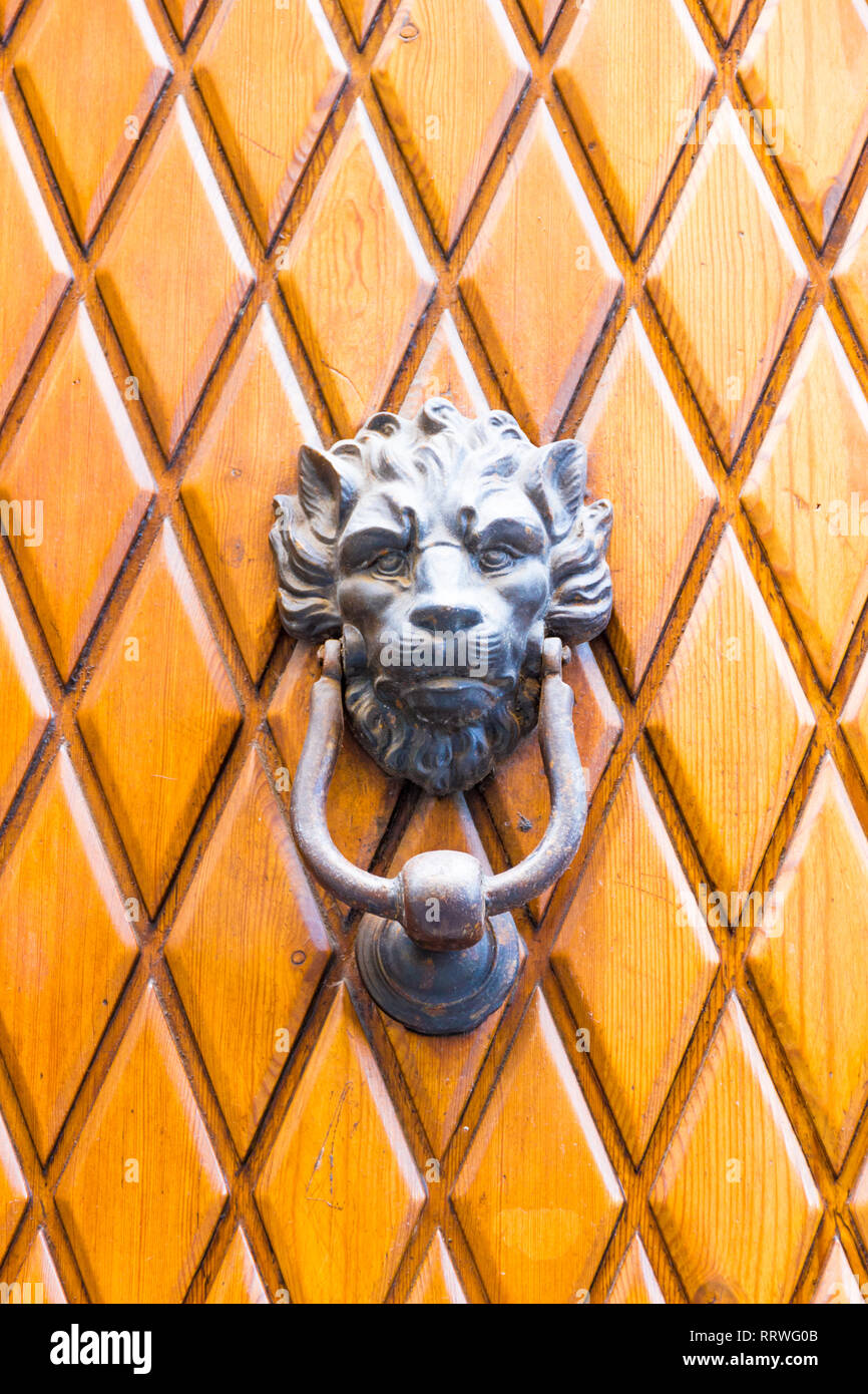 Leonine head hi-res stock photography and images - Alamy
