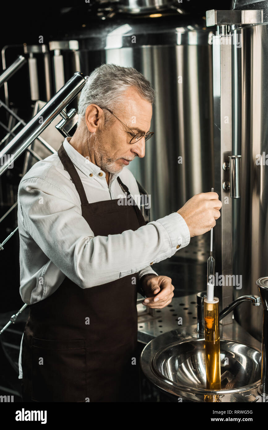 professional male brewer examining beer in flask in brewery Stock Photo ...