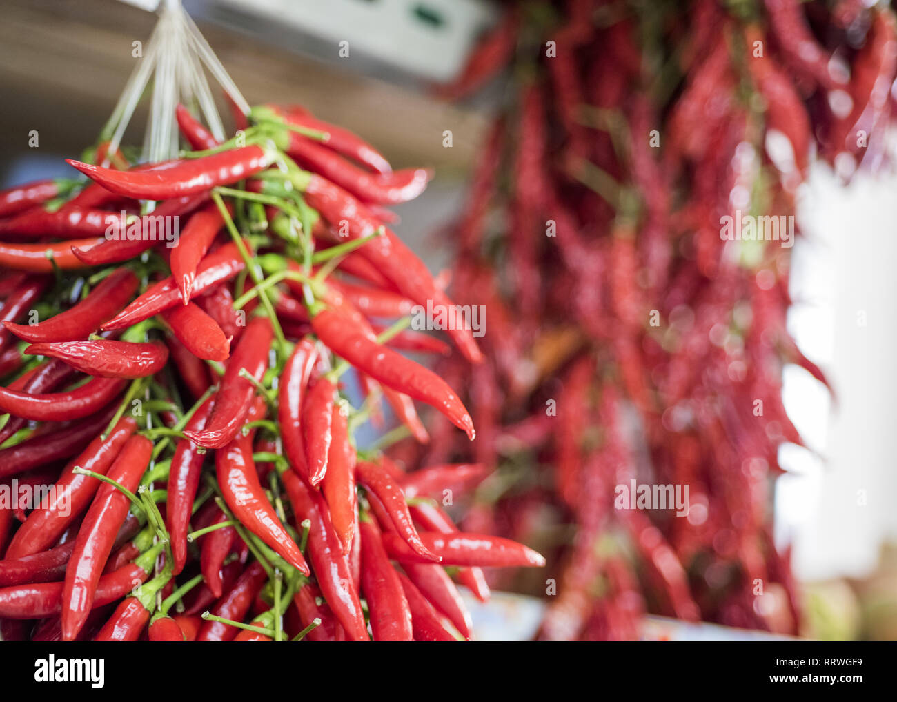 Hanging red chillies bunches hi-res stock photography and images - Alamy