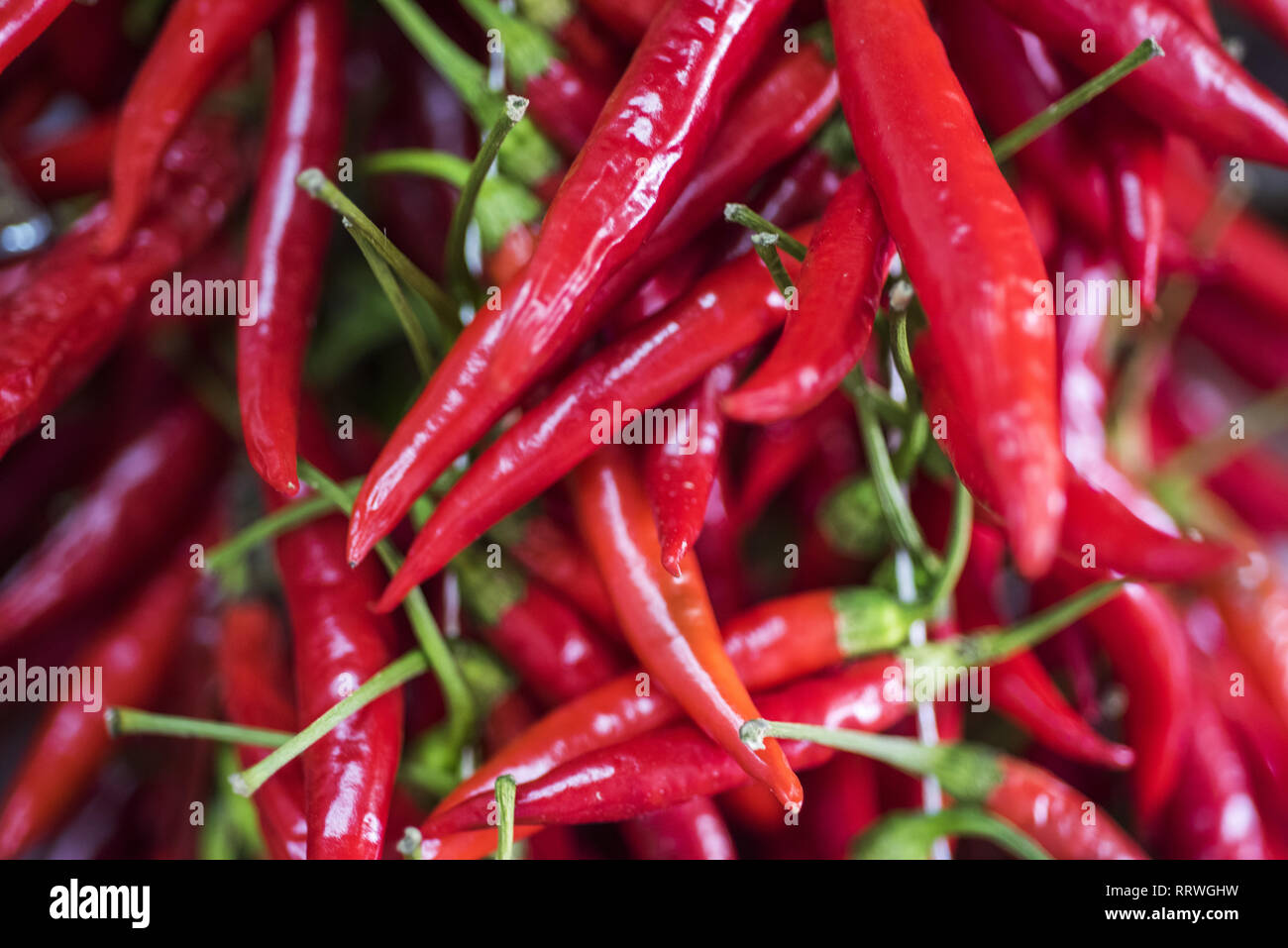 Hanging red chillies bunches hi-res stock photography and images - Alamy