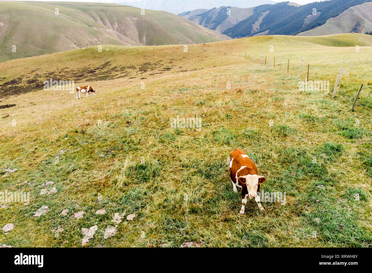 Boundless field hi-res stock photography and images - Alamy