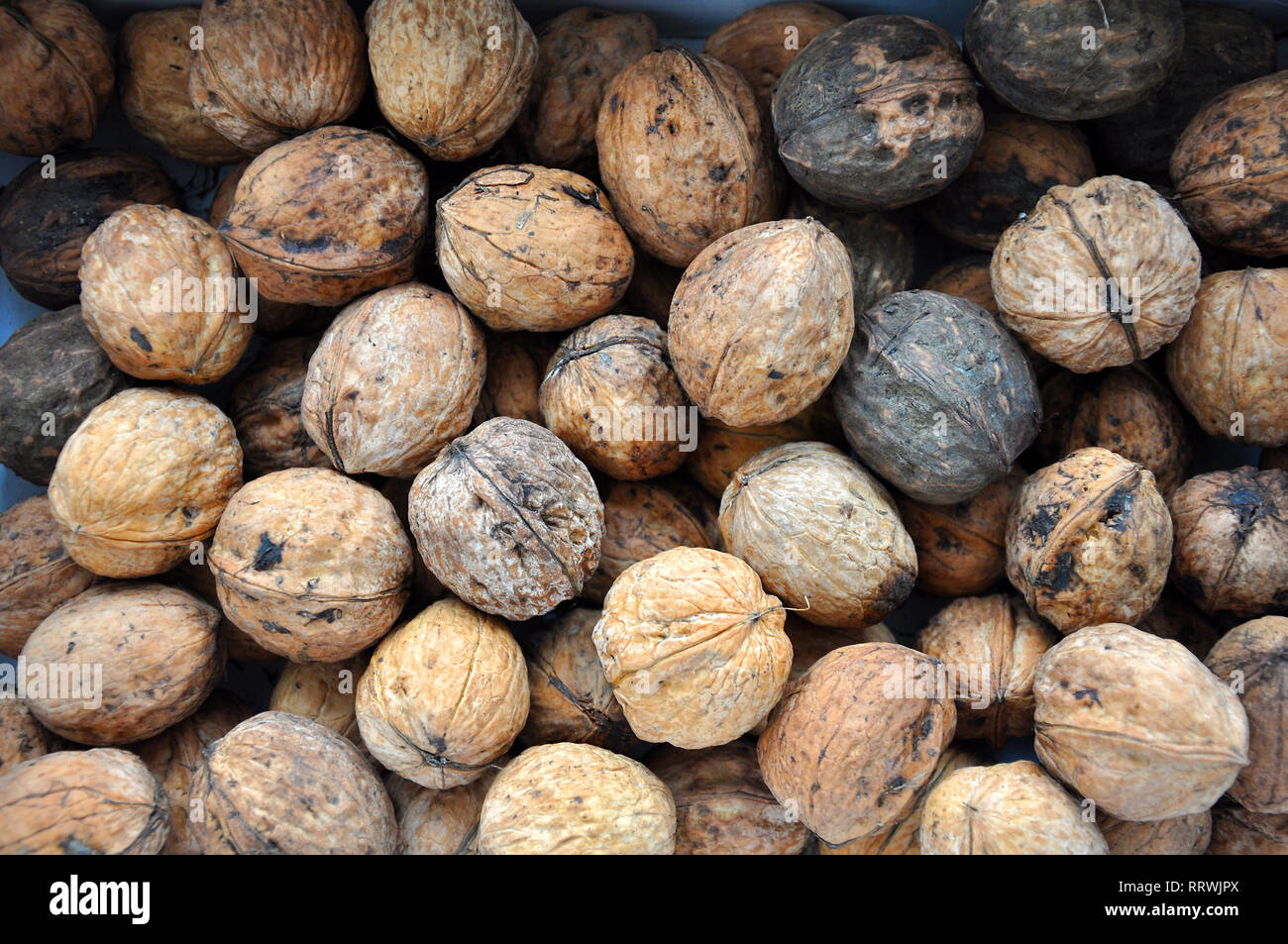 Several raw walnuts in the unpeeled shells, top view Stock Photo - Alamy