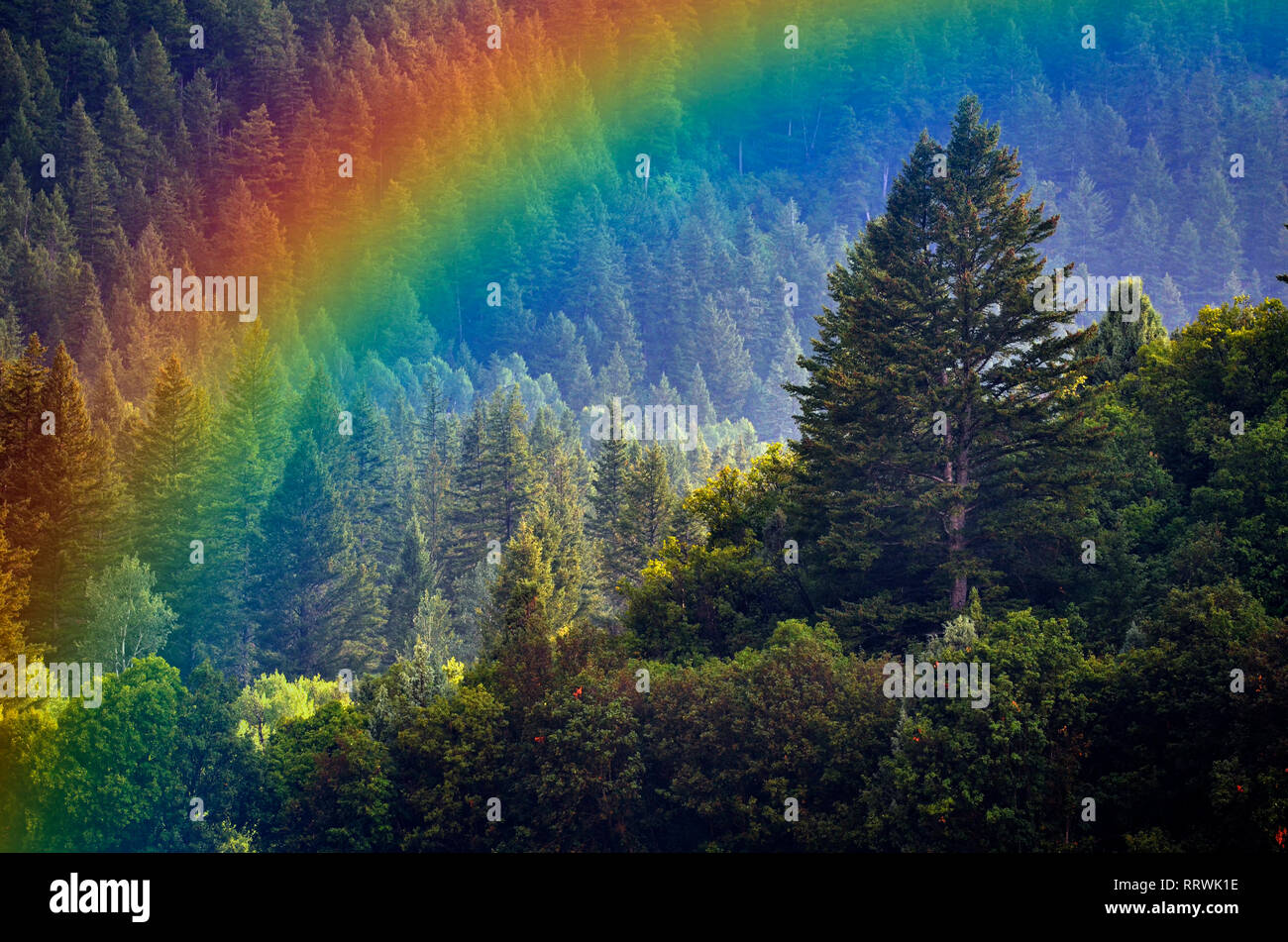 Rain Storms With Rainbow