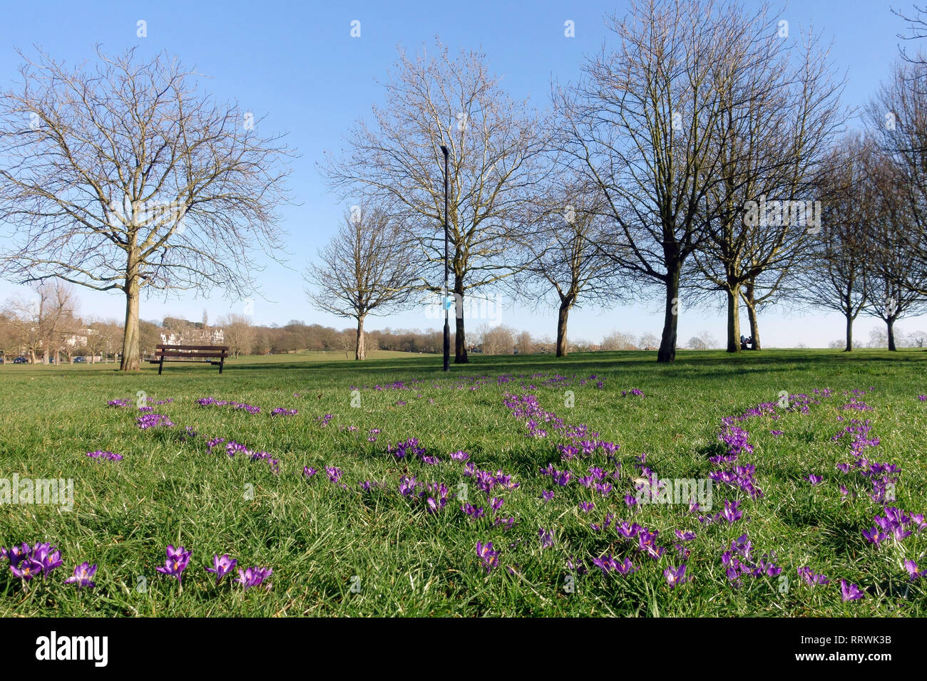 Streatham Common in South London Stock Photo - Alamy