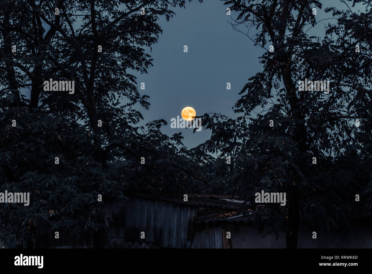 Full moon in the night sky before an eclipse Stock Photo - Alamy