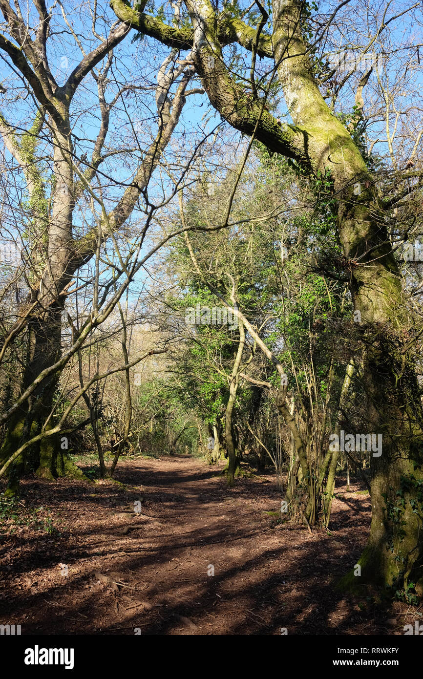 Rural walking paths hi-res stock photography and images - Alamy