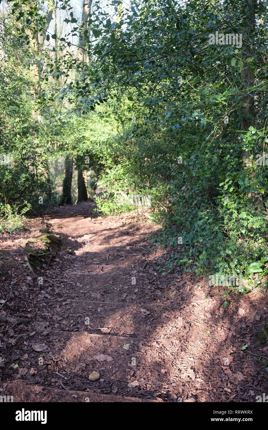 Rural walking paths hi-res stock photography and images - Alamy