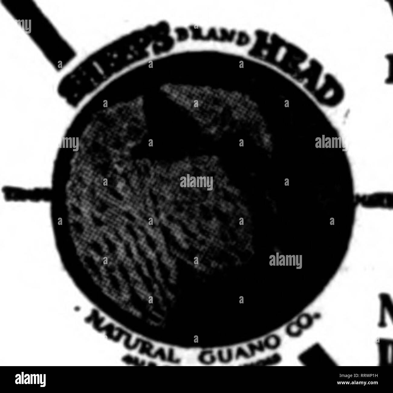 Ished tree hi-res stock photography and images - Alamy