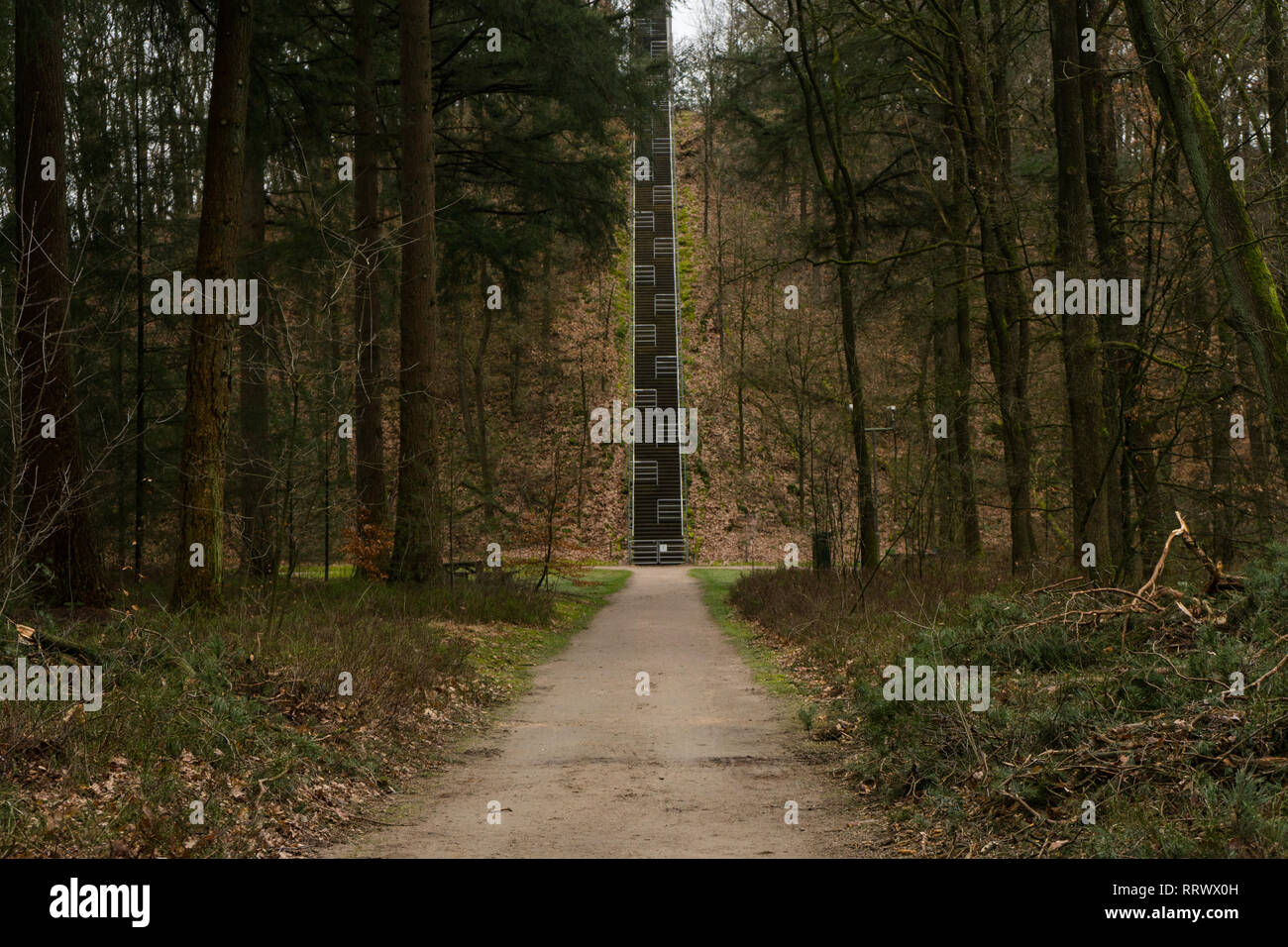 Leading dirt path to super high outdoors stairway to heaven. Straight ...