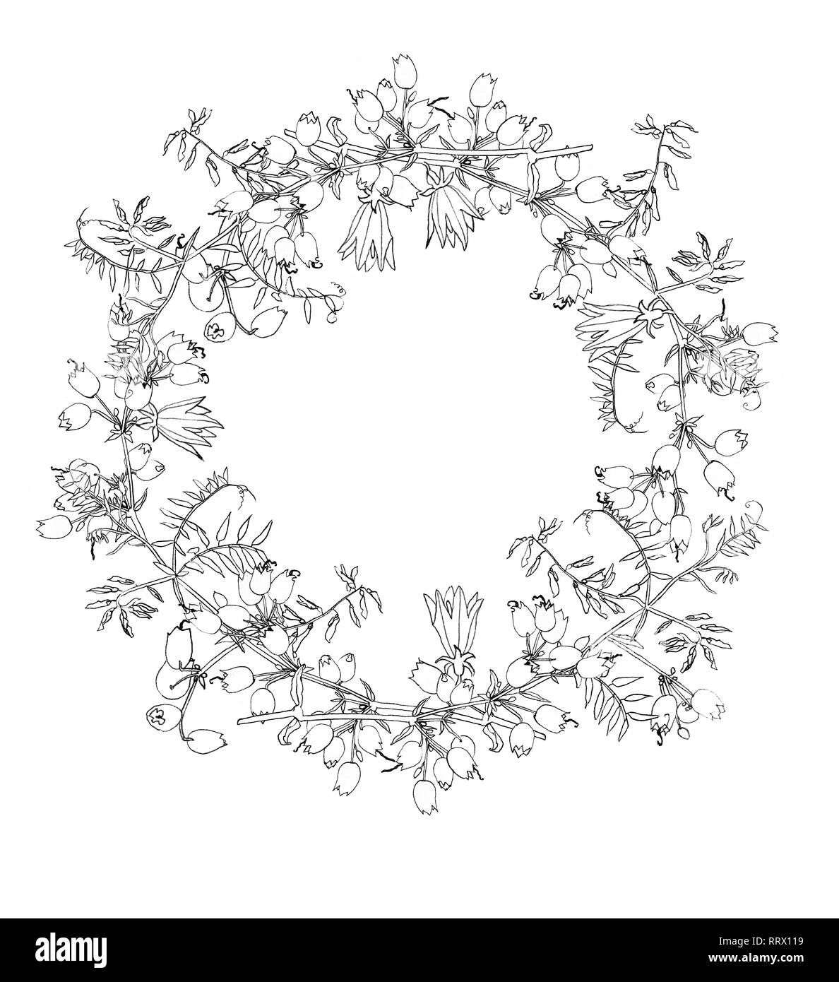 Beautiful engraving wreath isolated on white background. Round floral ...
